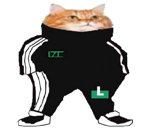 Гопник кот Бандо Мемы Смешные мемы