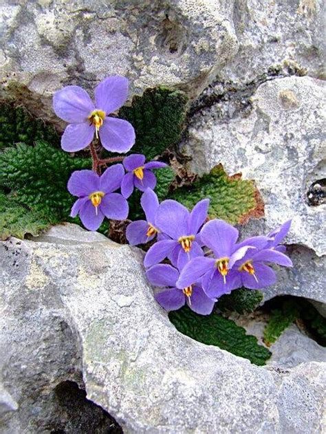 Mary Stack Marystack93 Profile Pinterest