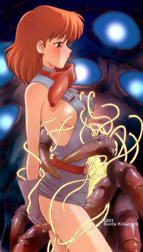 Kikumaru Bunta Danbooru