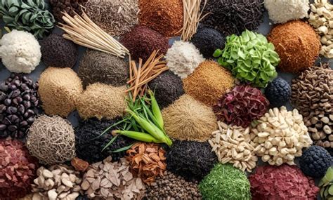 Feedstock To Biochar Biochardaily