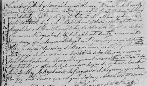 Genealogia Seis Palmos E Meio De Terra