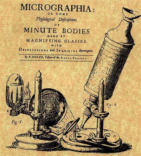 Hookes Microscope