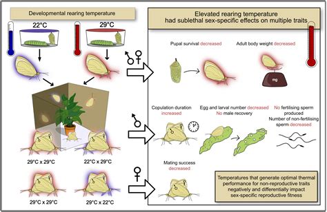 Journal Of Animal Ecology Vol 94 No 5