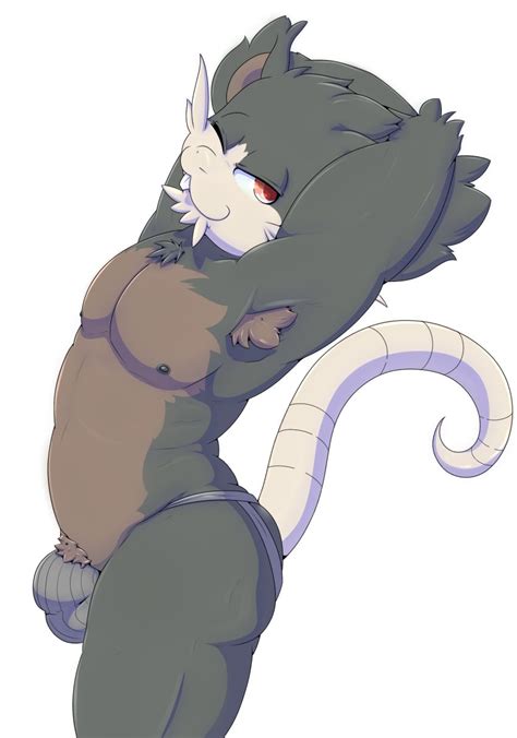 Rule 34 1boy 2016 Alolan Raticate Anthro Anthrofied Arched Back