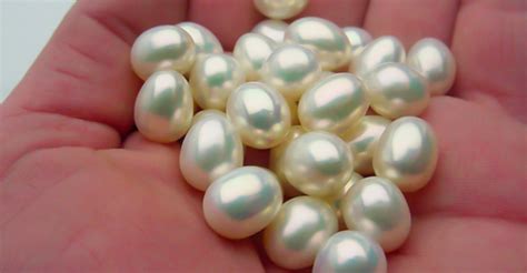 Pearl Luster What Is It How Does The Pearl Luster Impact Pearls Value