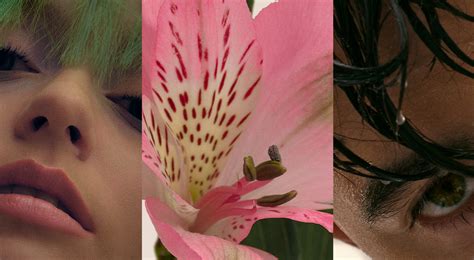 Proste Piosenki Lxs Lena Osińska I Steez O Płycie Anima Czwórka