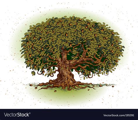 Oak Tree Royalty Free Vector Image Vectorstock