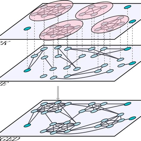 multiplex construction of the two basic and fixed sets of connections