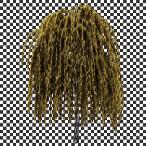 Weeping Willow Decal A23d