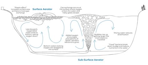 How Do Aerators Work Water Quality Solutions