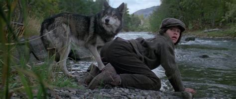 The Journey Of Natty Gann 1985