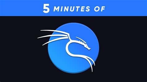 learn kali linux in 5 minutes youtube