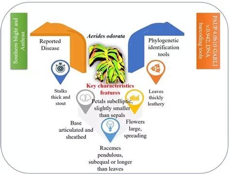 Journal Of Applied Biology And Biotechnology