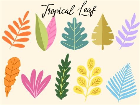 Clipart Collection Of Colorful Spring Tropical Leaves And Plants