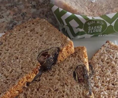 Sasko Responds To Viral Video Of Bread With Mouse Bona Magazine