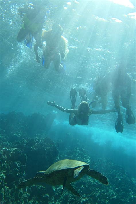 2023 Kaanapali Kayak And Snorkel Adventure