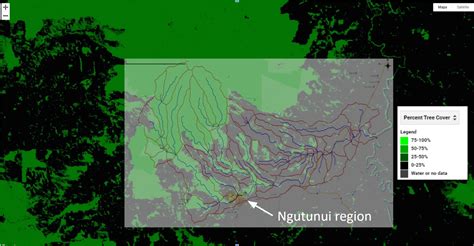 Vegetation Classification For Land Of Maori Communtiy In Development