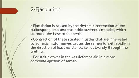 The Physiology Of Human Sexual Intercourse Pptx
