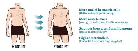 The Skinny Fat Workout And Diet Guide Bony To Beastly