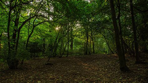 Torphichen02102023 10 Jim Reid Flickr