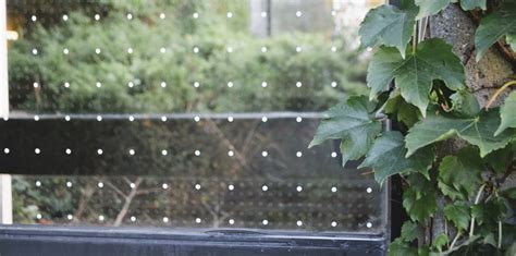 Energy Efficiency And Bird Friendly Windows A Perfect Combination