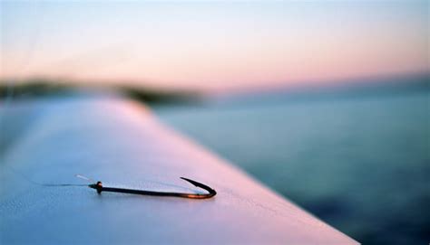 How To Sharpen A Fishing Hook Properly A Step By Step Guide