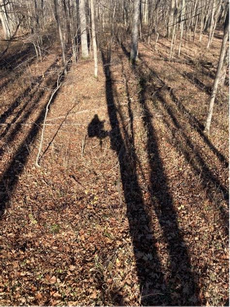 Saddle Hunting The Guide For Tree Stand Hunters