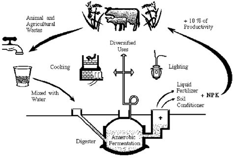 1 Biomethanation And Its Integrated Use In The Latin American Download Scientific Diagram