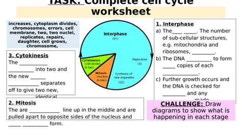 Aqa Gcse Cell Division And Dna Lesson 1 Teaching Resources