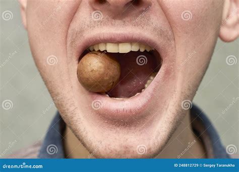 A Man Tries To Crack A Macadamia Nut With His Teeth Stock Image Image