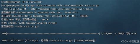 如何在linux Centos上安装和配置redislinux Centos安装redis Csdn博客