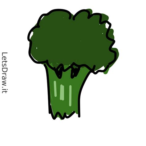 How To Draw Broccoli Cpwpf1z3 Png LetsDrawIt How To Draw Broccoli Cpwpf1z3 Png LetsDrawIt