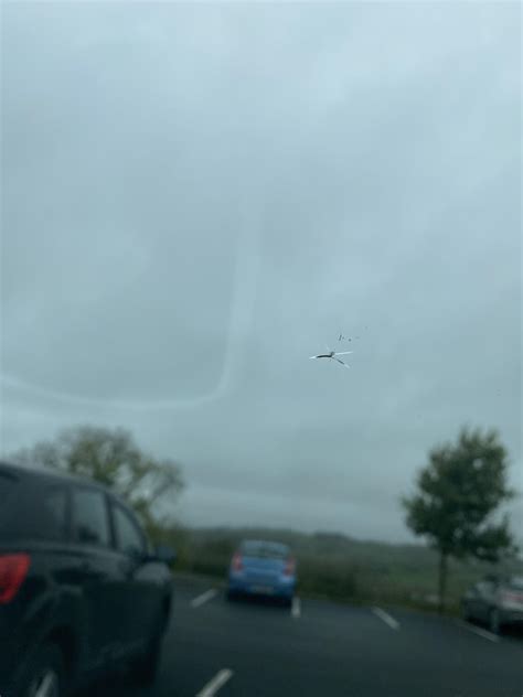 Tiny Chip On My Windscreen That Haunts My Peripheral Vision R