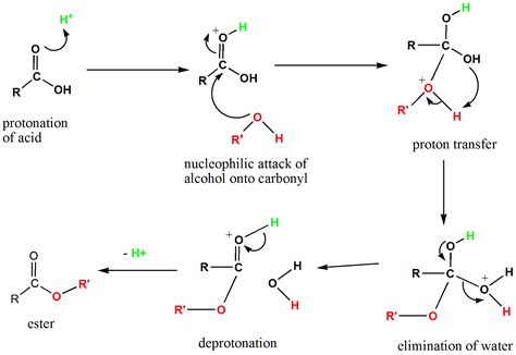 Esterification