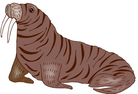 Walrus Clipart And Walrus Clip Art Images Hdclipartall