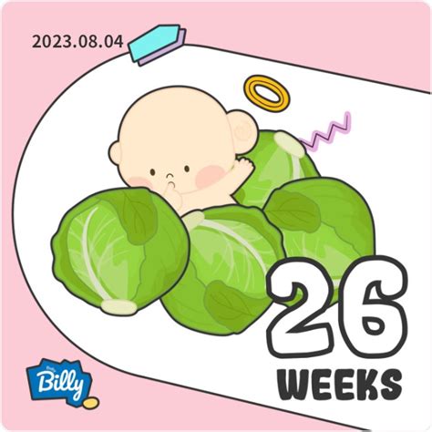 임신 26주 기록 양수 새는 느낌 배뭉침 리트머스지 주수별 배크기 육아휴직 출산휴가 기안 네이버 블로그