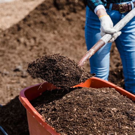 Compost Based Soil