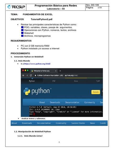 3 Laboratorios Programaciónbasicapararedes Laboratorio Pdf Objeto Informática Python