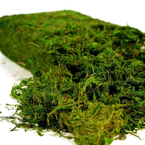 Usmola Artificial Moss 16oz Fake Moss For Crafts