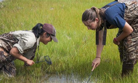 Forest Sample Images Free Photos Png Stickers Wallpapers And Backgrounds Rawpixel