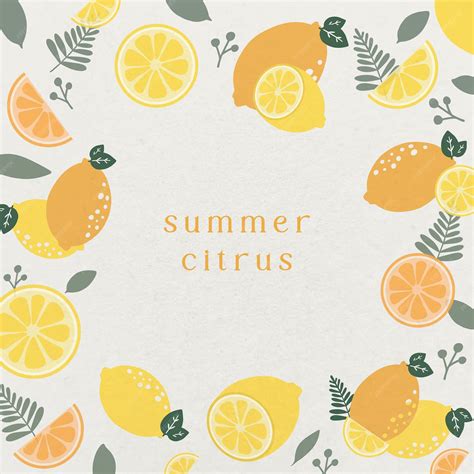 Hand Drawn Vector Mnimal Illustration Set Of Pastel Citrus Doodle
