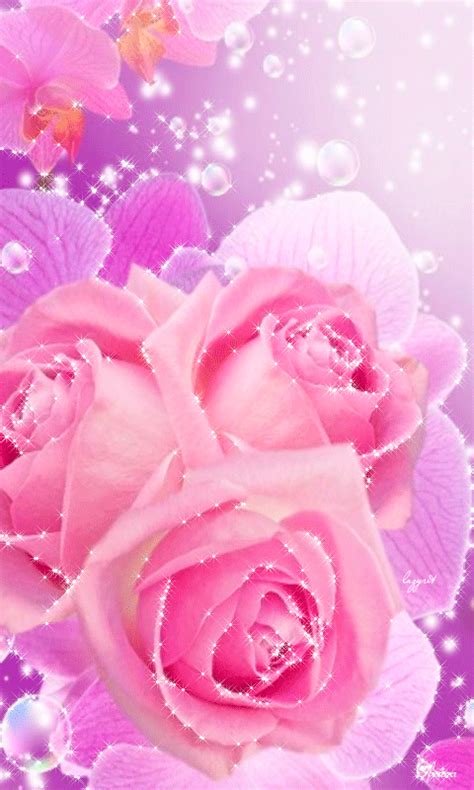 Beautiful Animated Flowers Wallpapers