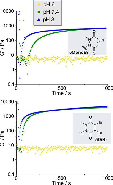 Hydrogel Cross Linking Via Thiol Reactive Pyridazinediones Biomacromolecules