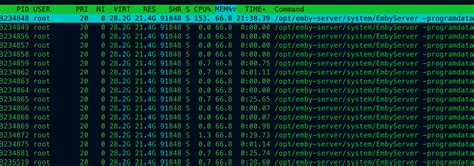 emby leaking memory too much 25g linux emby community