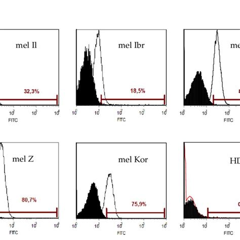 Expression Of The Cd46 Receptor At The Surface Of Melanoma Cells And