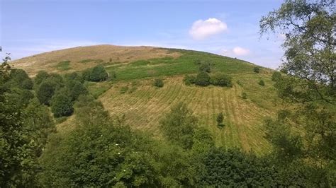 2018 07 05 Bracken Rolling Malvern Hills Trust
