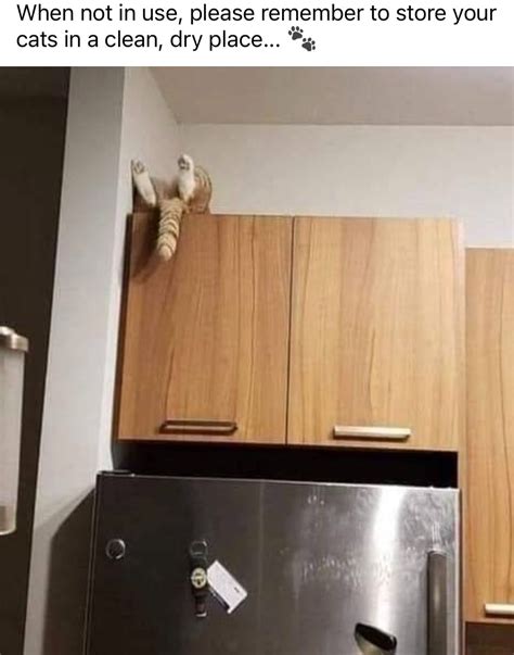 Greg Forquer On Linkedin Yes Very Important Advice