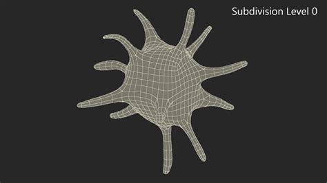 3d Model Platelet Blood Cell Turbosquid 2128814