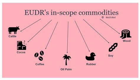 Eudr Guidance Update Providing Simplification And Consulting