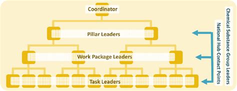 Hbm4eu Scientific Governance Structure Schematic Download